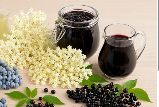 ELDERBERRY ~ Sambucus nigra – tablemontagnebotanicals